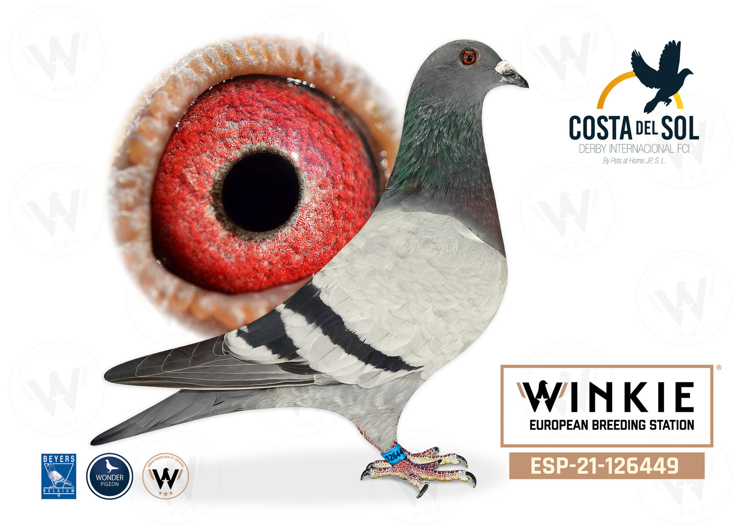 ESP-21-126449 - WINKIE European Breeding Station
