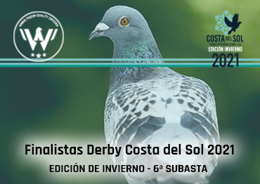 Lineage Monick Nys - WINKIE European Breeding Station